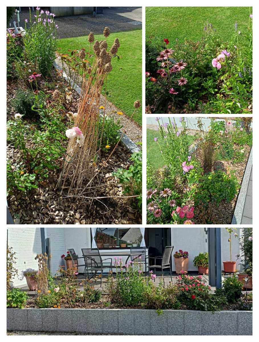 Staudenbeet 'Ein Kessel Buntes': Lubera.at